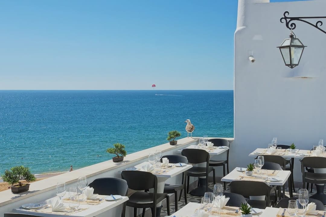 Restaurants acceptant les chiens à Albufeira : terrasses vérifiées ...