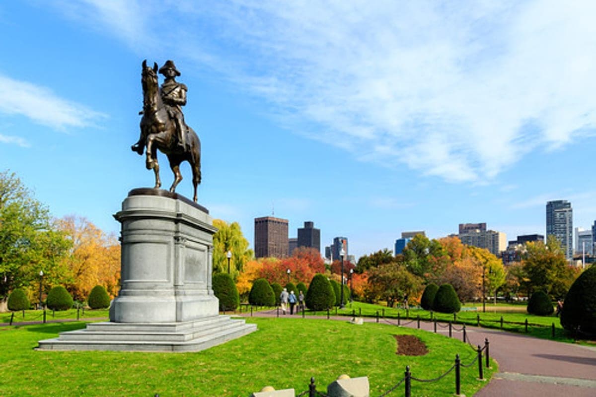 Dog-friendly parks in Boston: a visitor's guide | HotelsWithPets.com