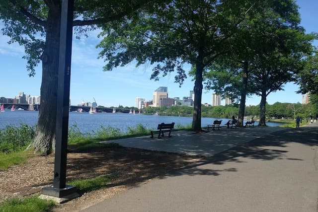 Dog-friendly parks in Boston: a visitor's guide | HotelsWithPets.com