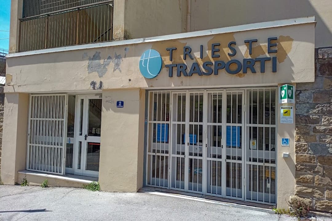 Animaux dans les transports à Trieste : règles officielles ...
