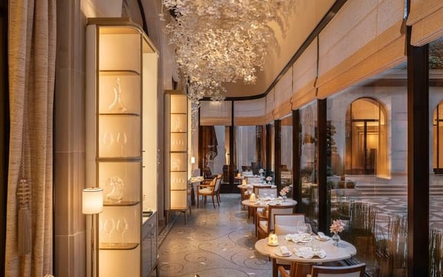 Cat-friendly hotels in Paris: 8 verified picks from €170/night ...